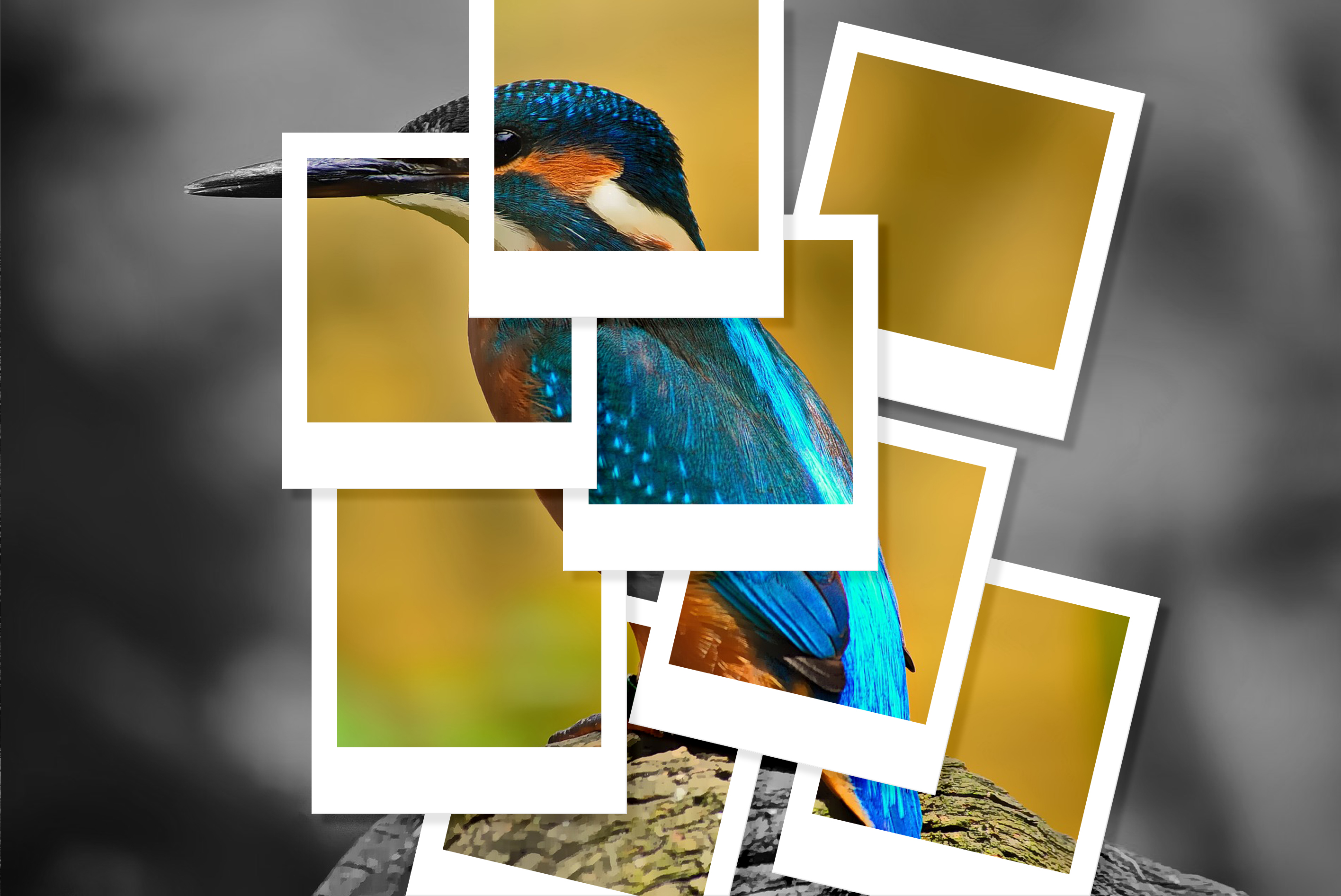 Polaroid Photo Effect, Add-ons | GraphicRiver