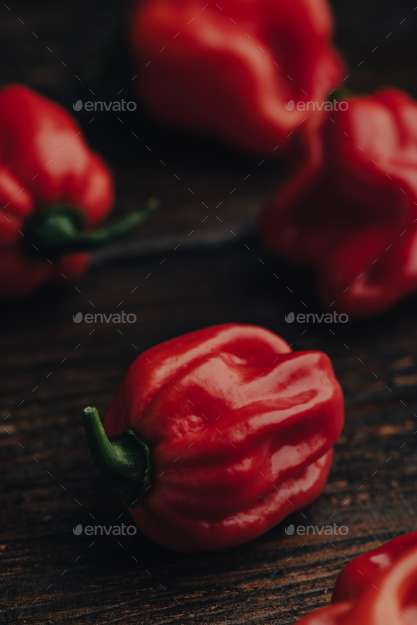 Red Habanero Chili Pepper Stock Photo by Seva_blsv | PhotoDune
