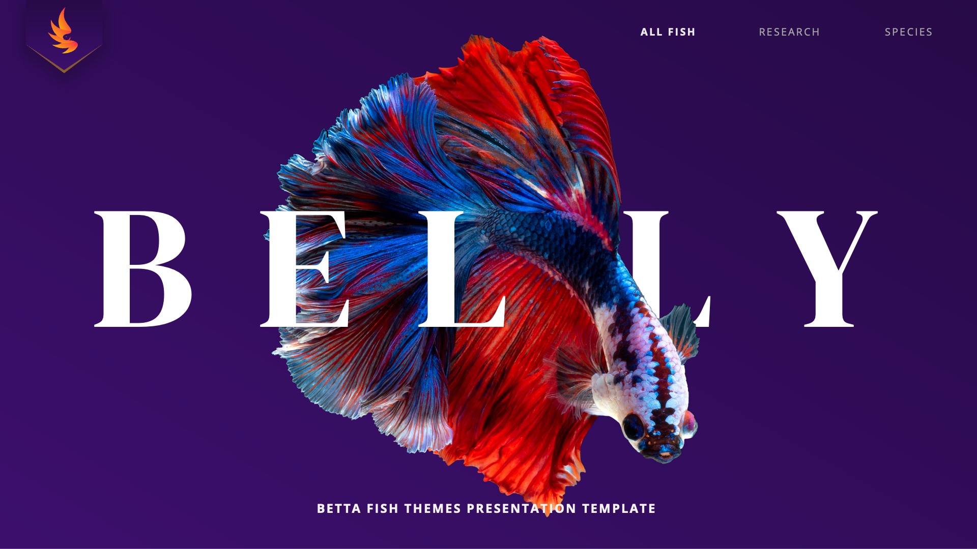 Belly - Betta Fish Powerpoint Template, Presentation Templates ...