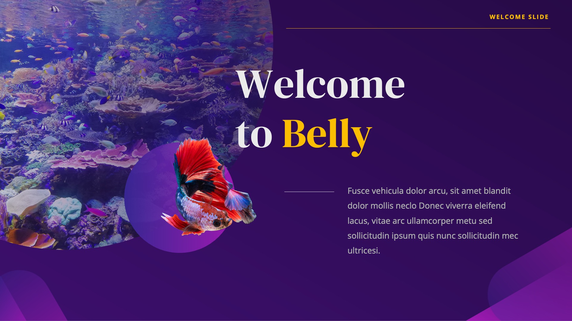 Belly - Betta Fish Powerpoint Template, Presentation Templates ...