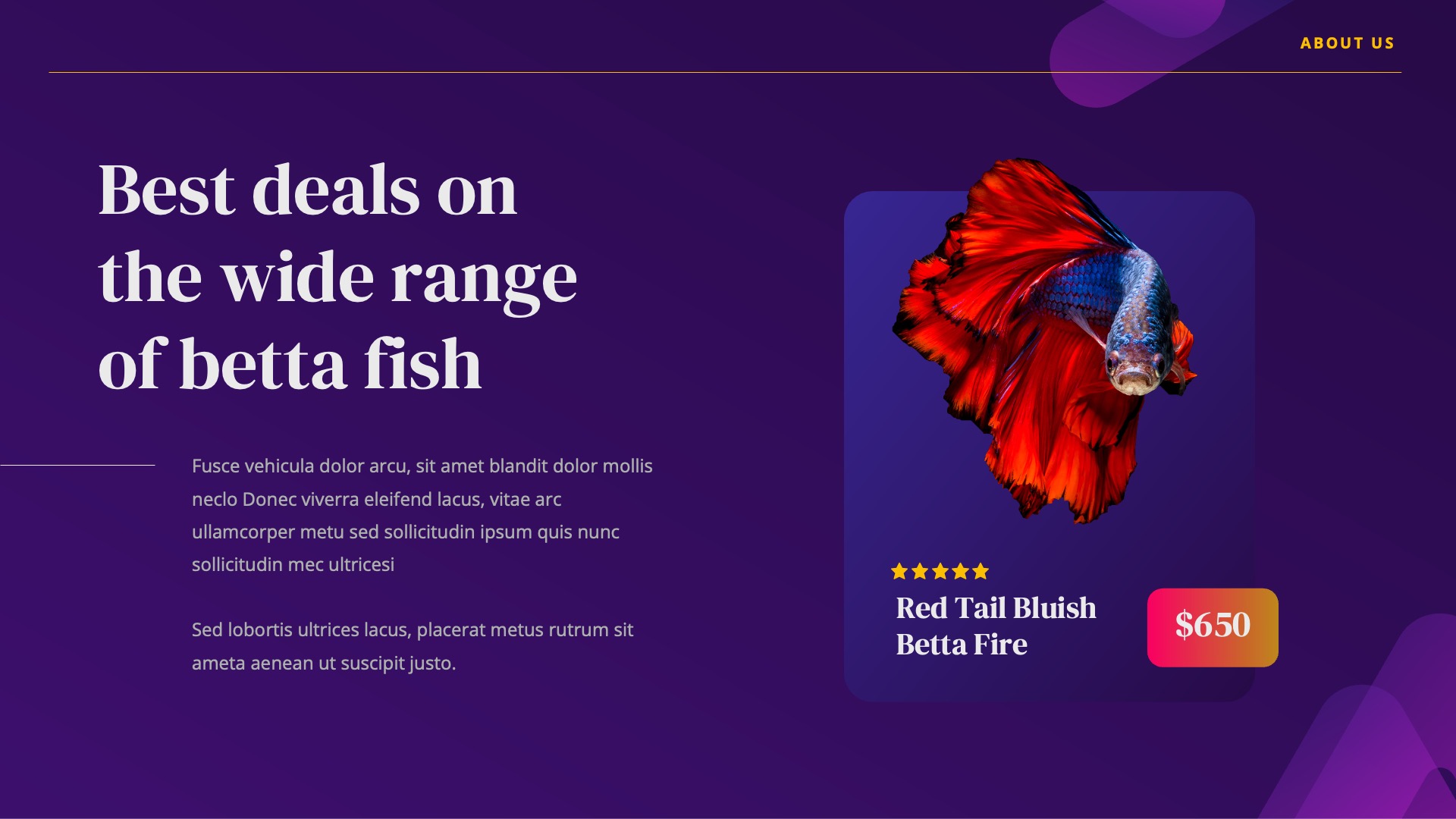 Belly - Betta Fish Powerpoint Template, Presentation Templates ...