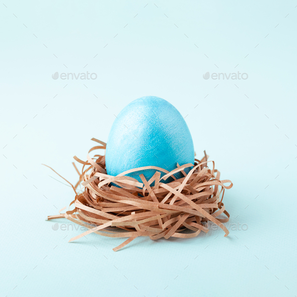 Conceptual Nest with Blue Egg. Stock Photo by fucsiya | PhotoDune