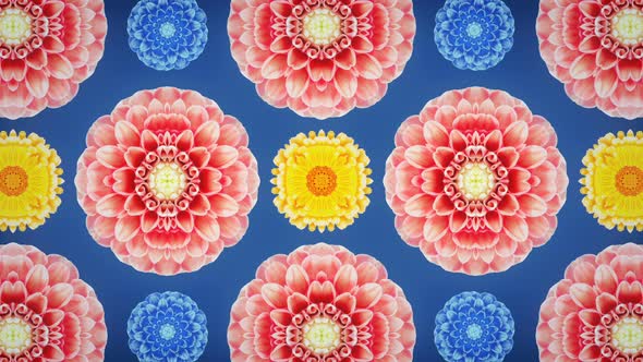 Flower, Motion Graphics | VideoHive