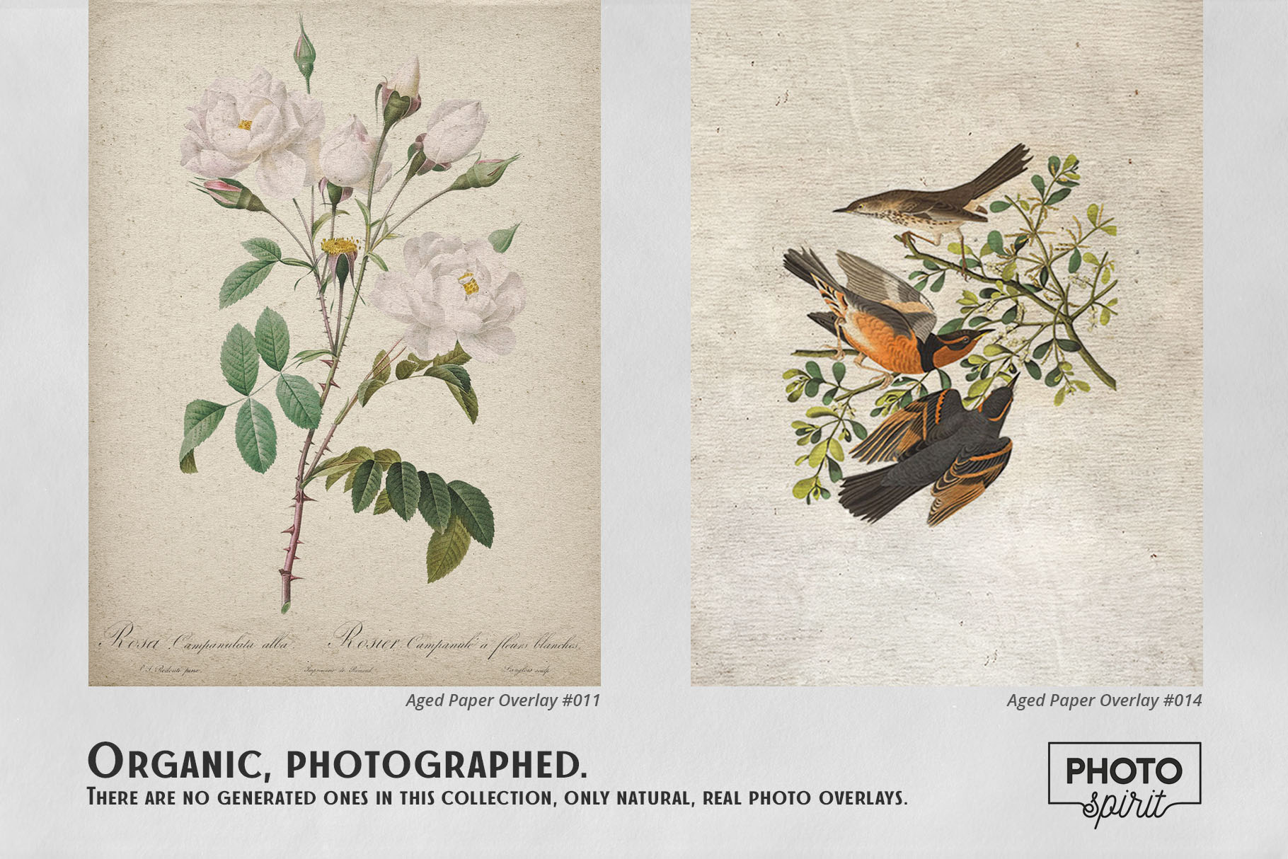 Aged Paper Effect Overlays, Add-ons | GraphicRiver