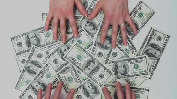 Closeup of Dividing Money on the Table, Stock Footage | VideoHive