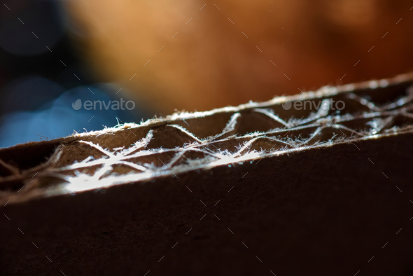 Close-up view of the structure of a cardboard box Stock Photo by Studio_OMG