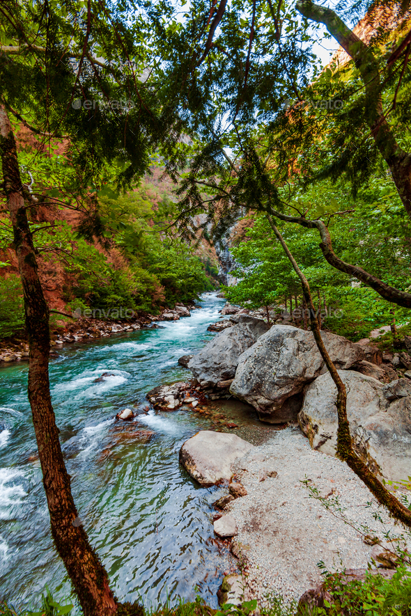 Rocky Mountains River. Beautiful scenery Stock Photo by EwaStudio ...