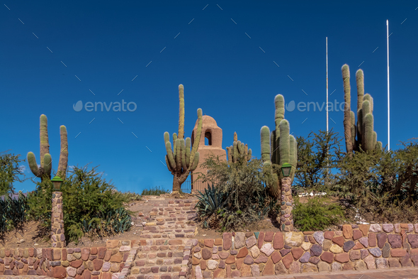 Cardones Cactus at Heroes of the Independence Monument - Humahuaca ...