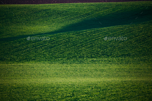 Rolling hills in spring Stock Photo by belyaaa | PhotoDune
