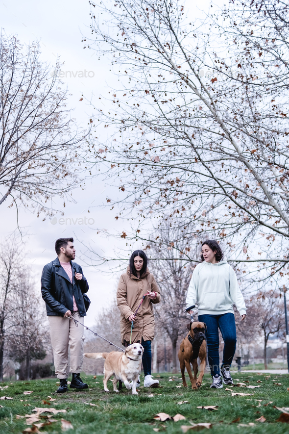 Group of friends having fun together while enjoying a walk in the park ...