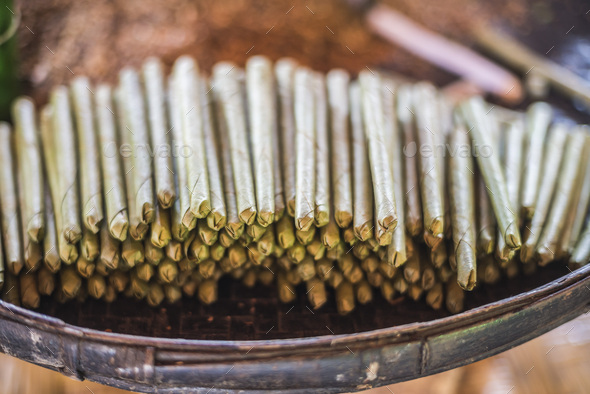 Rolling hand made cheroot cigars, a traditional Burmese cigar, Inle ...