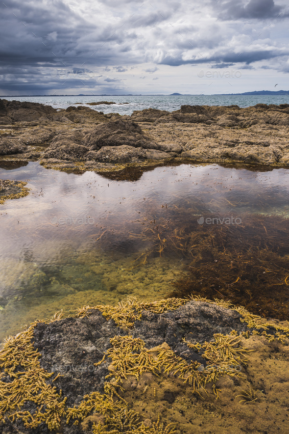 Cable Bay, Doubtless Bay, Northland Region, North Island, New Zealand ...