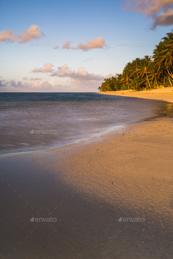 Tropical beach with palm trees at sunrise, Rarotonga, Cook Islands ...