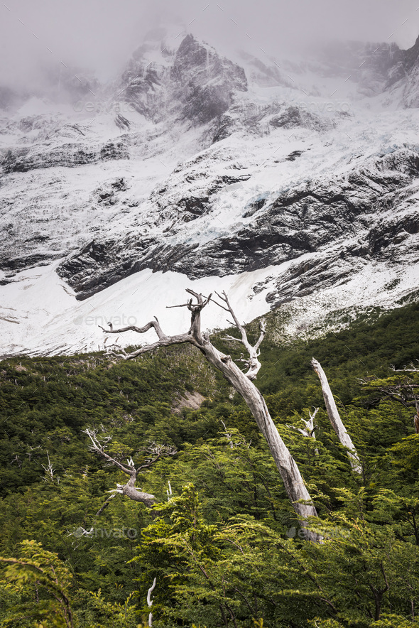French Valley (Valle del Frances), Torres del Paine National Park ...