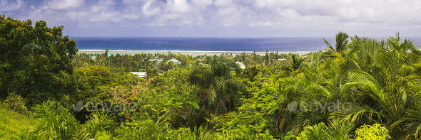 Tropical palm tree jungle with blue Pacific Ocean behind, at Rarotonga ...