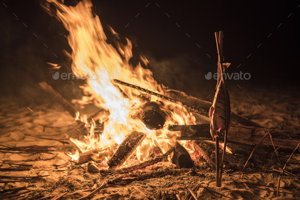 Cooking fish on a fire on the beach at night, Dawei Peninsula ...