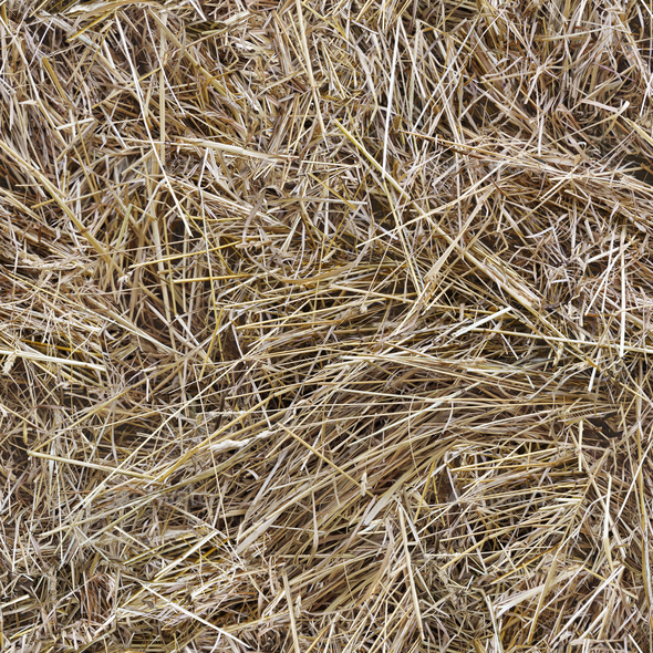 Hay texture Stock Photo by Icons8 | PhotoDune