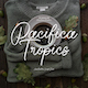 Pacifica Tropics Script Font, Fonts | GraphicRiver