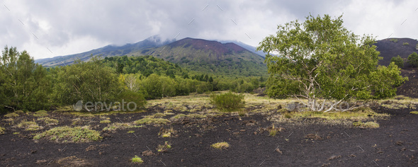 Panoramic photo of Mount Etna Volcano landscape, showing an old lava ...