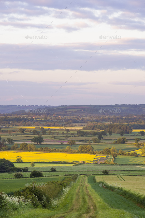 Cotswolds rural countryside and farmland landscape, the Evenlode Valley ...