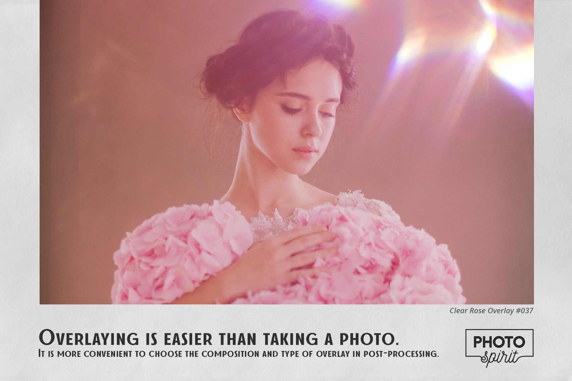 Dusted Rose Overlays, Add-ons | GraphicRiver