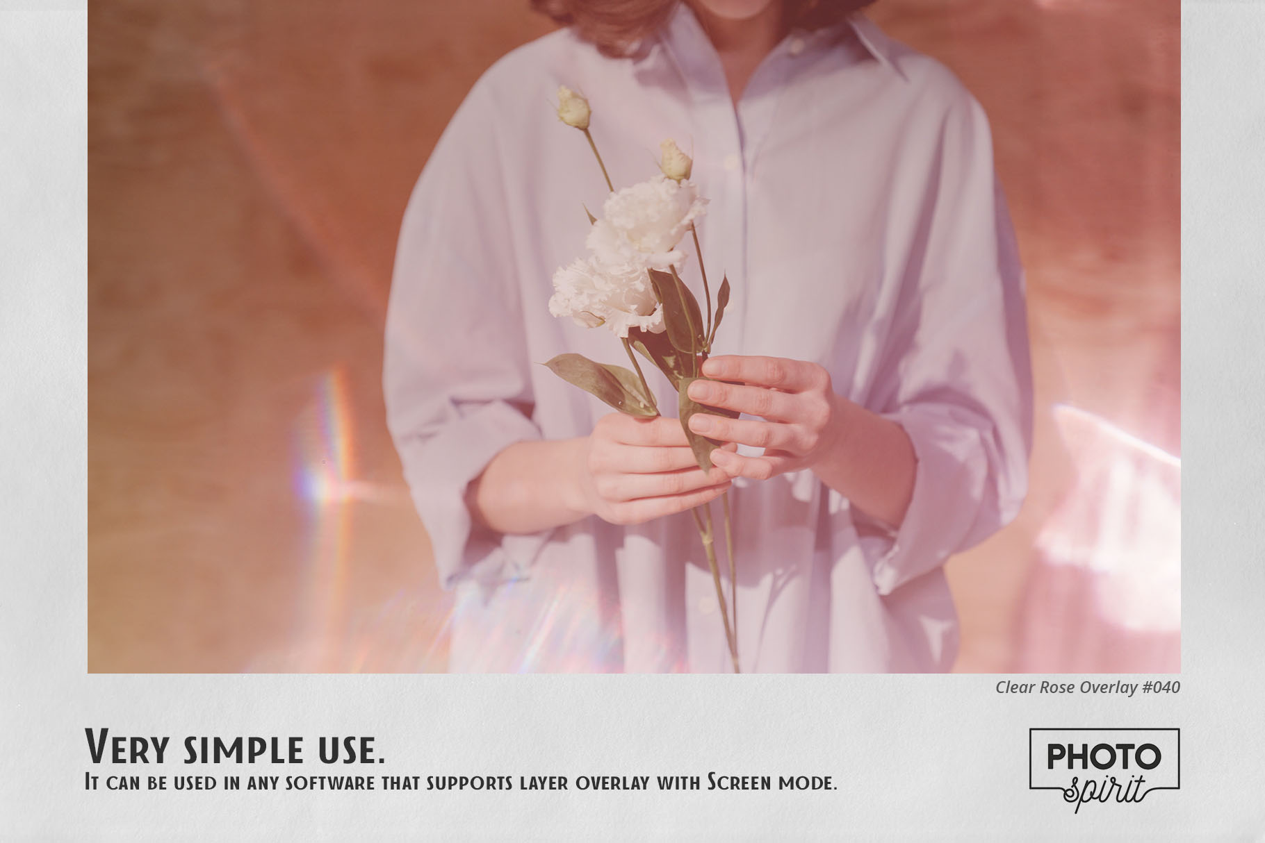 Dusted Rose Overlays, Add-ons | GraphicRiver