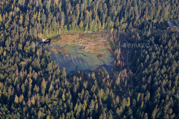 Beaver Lake aerial view in Stanley Park, Downtown Vancouver Stock Photo ...