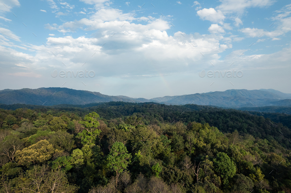 high angle tropical forest and road into the forest Stock Photo by ...