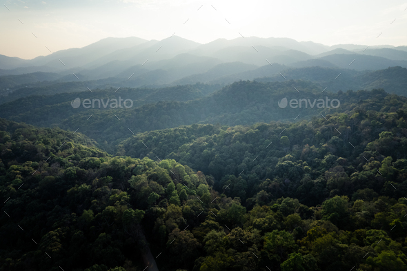 high angle tropical forest and road into the forest Stock Photo by ...