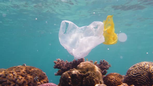 Beautiful Coral Reef Polluted with Plastic Bag, Stock Footage | VideoHive