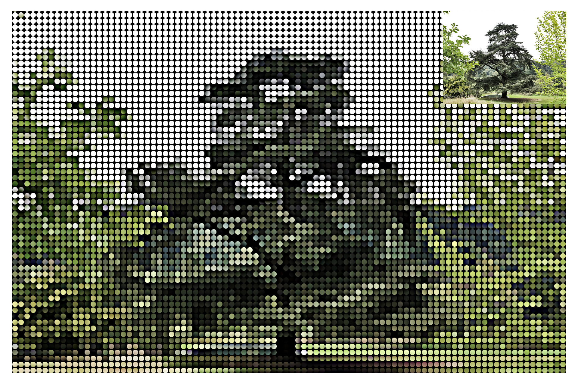 Dot Creator - Photoshop Action, Add-ons | GraphicRiver