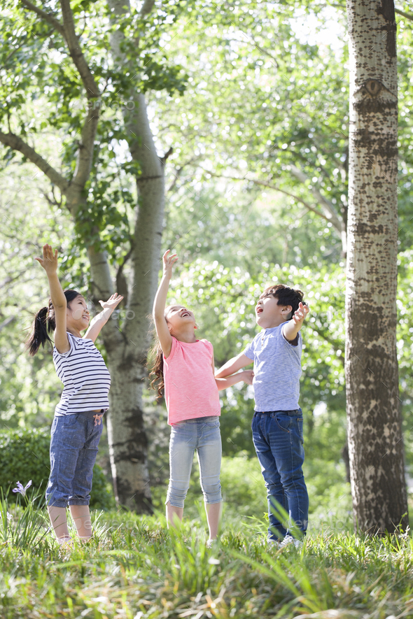 Happy children playing in woods Stock Photo by bluejeanimages | PhotoDune
