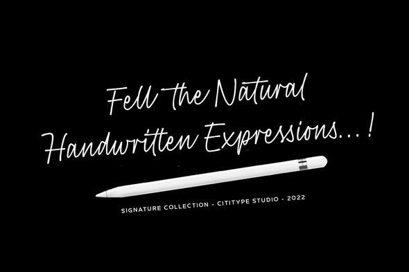 Preston Signature, Fonts | GraphicRiver