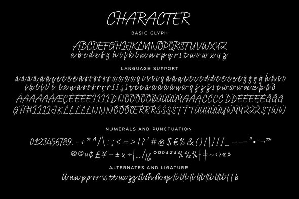 Preston Signature, Fonts | GraphicRiver