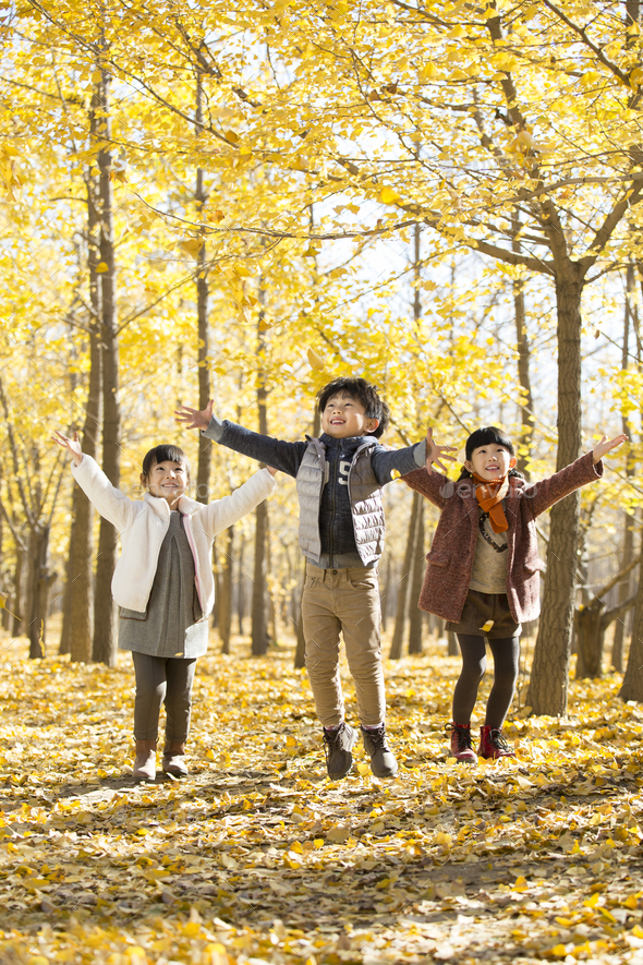 Three children catching falling leaves Stock Photo by bluejeanimages