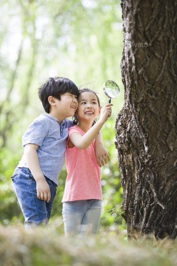 Happy children playing in woods Stock Photo by bluejeanimages | PhotoDune