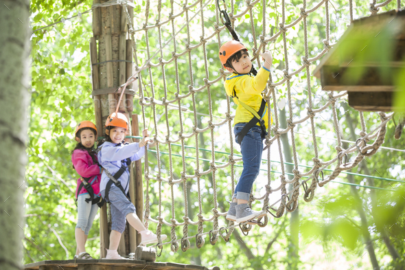 Happy children playing in tree top adventure park Stock Photo by ...