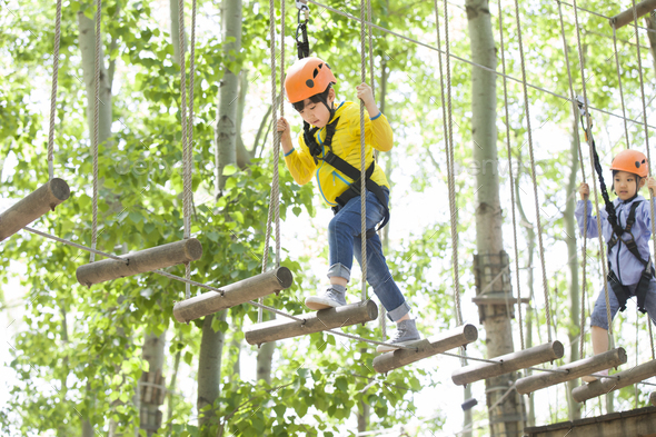 Happy children playing in tree top adventure park Stock Photo by ...