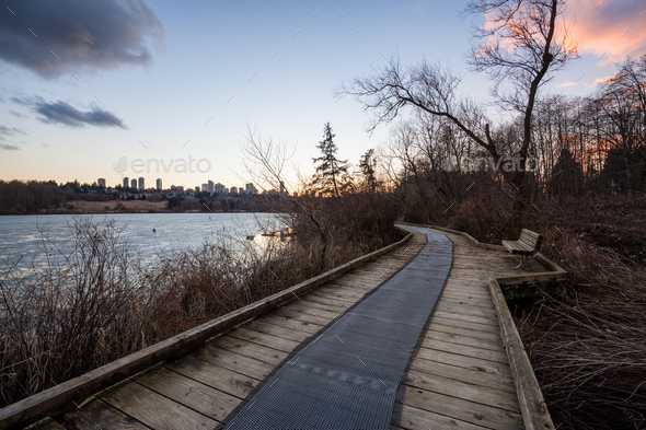 City Path in the park with a nature view Stock Photo by edb3_16 | PhotoDune