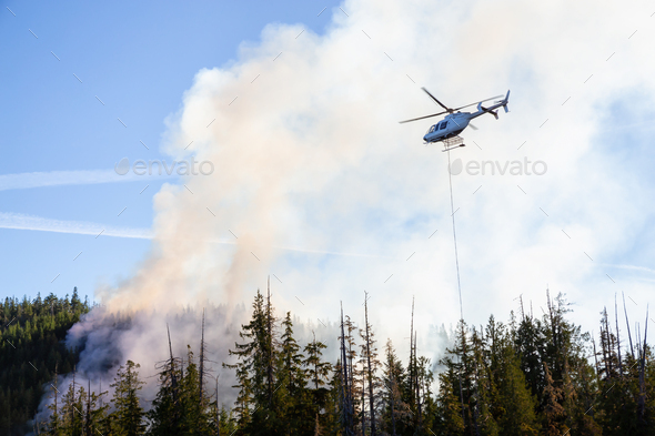 Helicopter fighting BC forest fires during a hot sunny summer day Stock ...