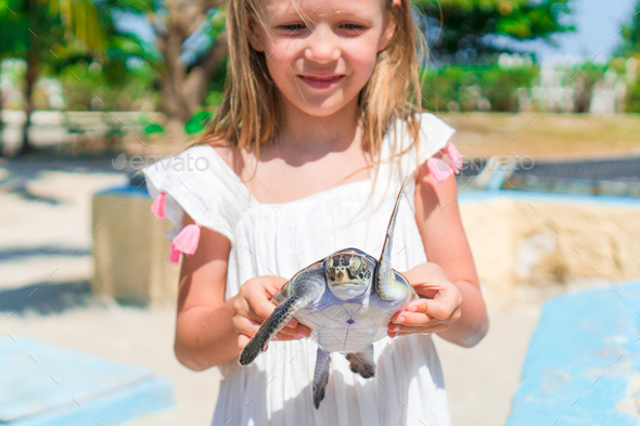 Little adorable girl with a small turtle in her hands in the reserve ...