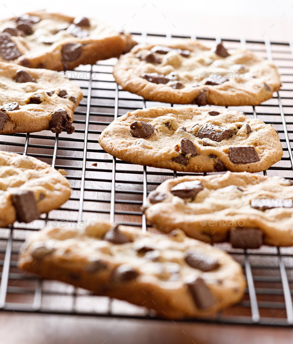 cookies cooling on cooling rack Stock Photo by joshua_resnick | PhotoDune