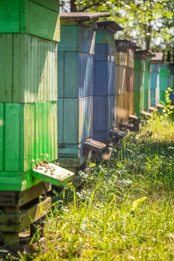 Old beehives in countryside. Ecological and natural beekeeping. Stock ...