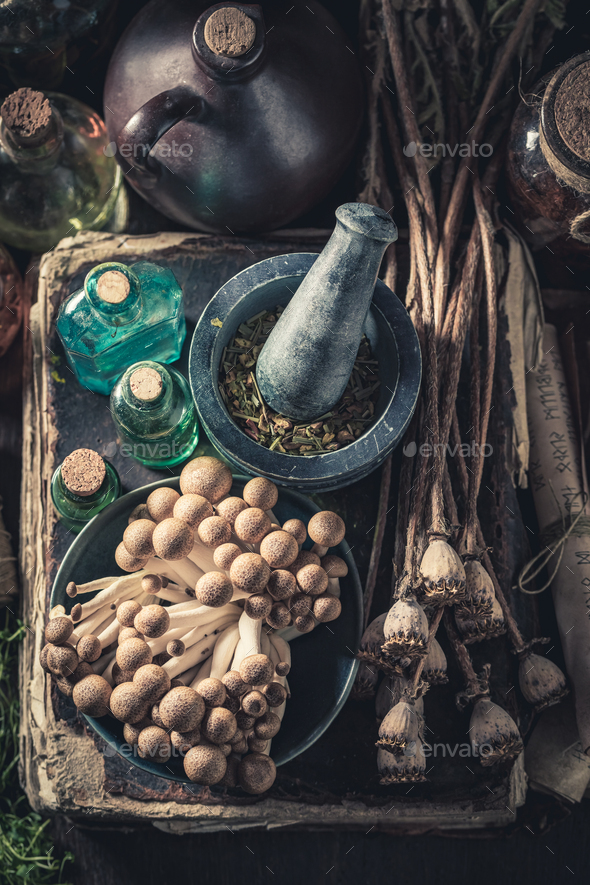 Top view of herbal laboratory with ingredients and herbs Stock Photo by ...