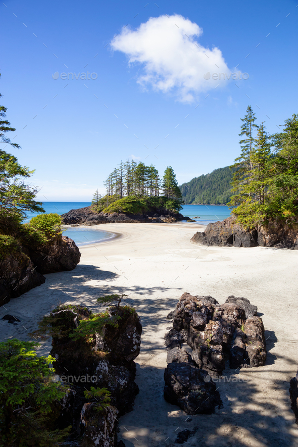 Sandy beach on Pacific Ocean Coast. San Josef Bay Stock Photo by edb3_16
