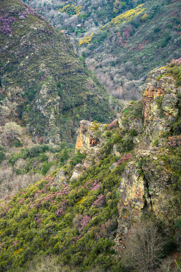 Quartzite and slate cliffs overlook a steep valley Stock Photo by ...