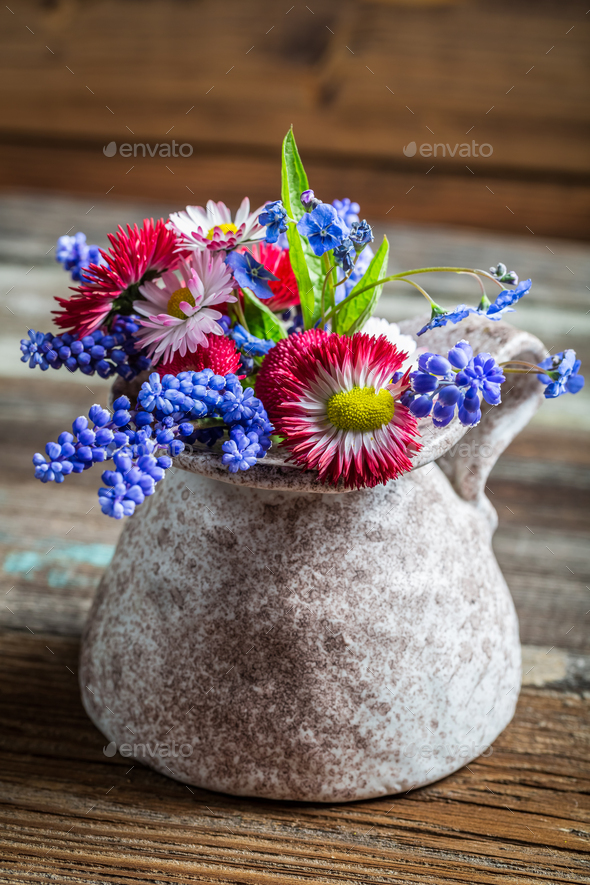Spring flowers in a vase Stock Photo by Shaiith | PhotoDune