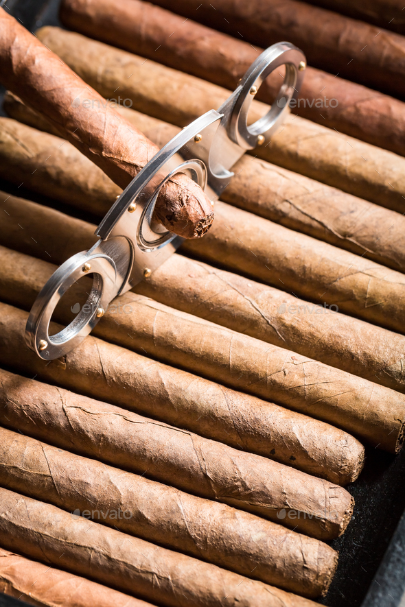 Guillotine and cigar on cigars pile Stock Photo by Shaiith | PhotoDune