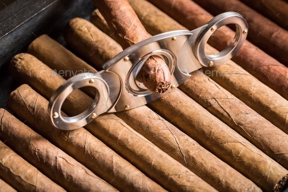 Cutting off cigar tip on cigars pile Stock Photo by Shaiith | PhotoDune