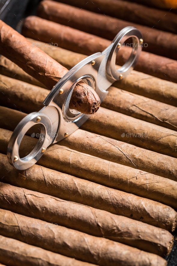 Guillotine and cigar on cigars pile Stock Photo by Shaiith | PhotoDune